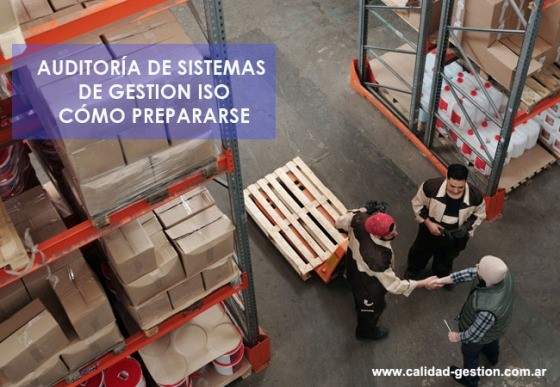 - Isolucion Software Sistemas de Gestión Iso9001 Cómo preparar una ...